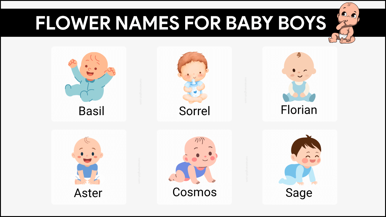 Flower Names for Boys: 23 Unique Baby Names Inspired by Flowers