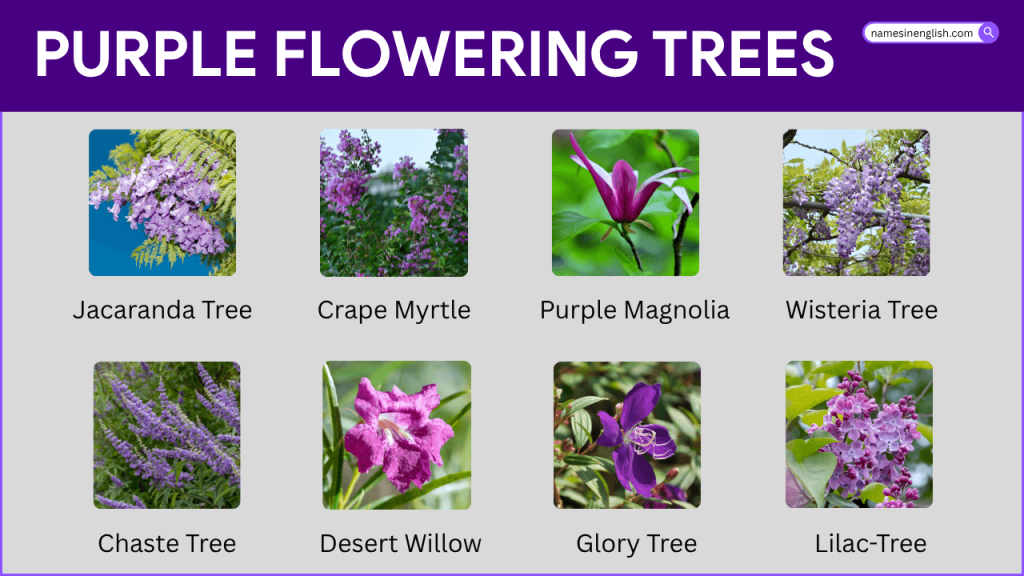 17 Medicinal Trees Names and Their Incredible Healing Powers