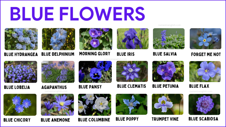 100 Types of Blue Flowers with Pictures: The Ultimate Guide