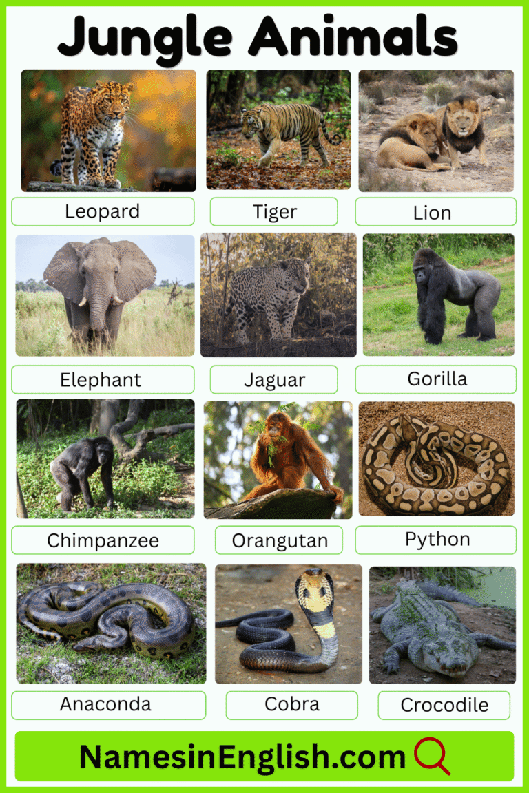 40 Jungle Animals with Names in English with Pictures - Names in English