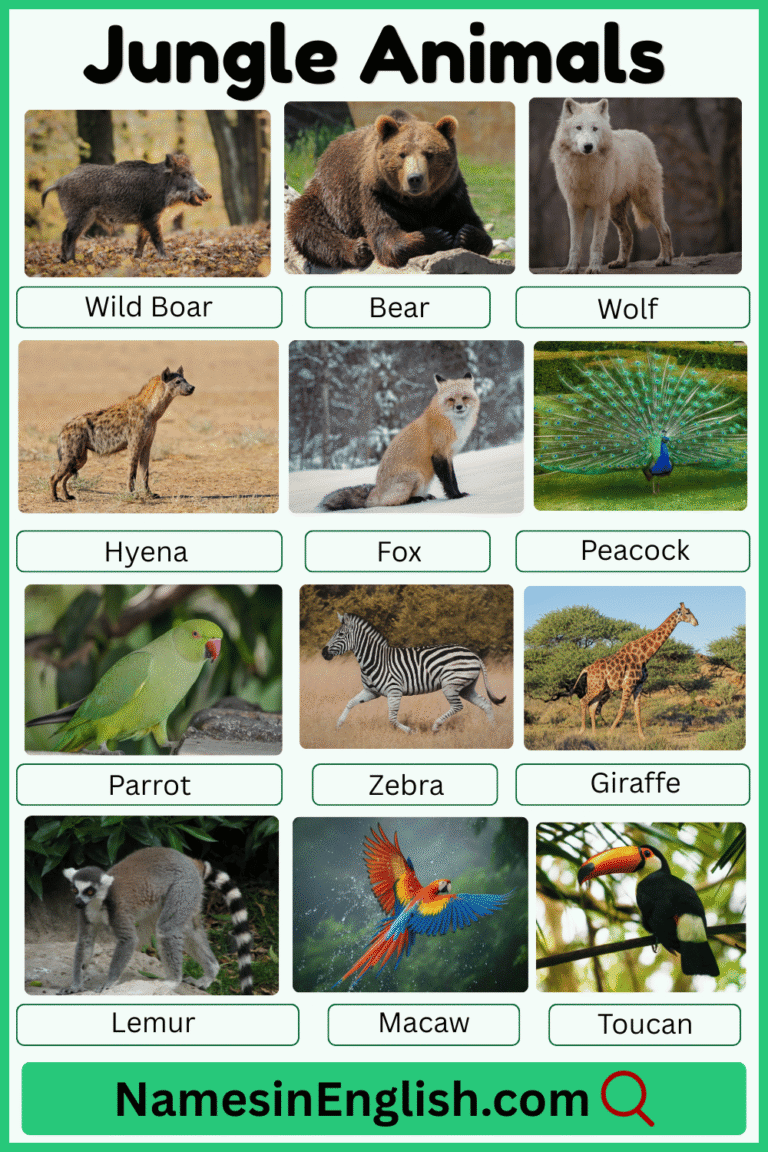 40 Jungle Animals with Names in English with Pictures - Names in English