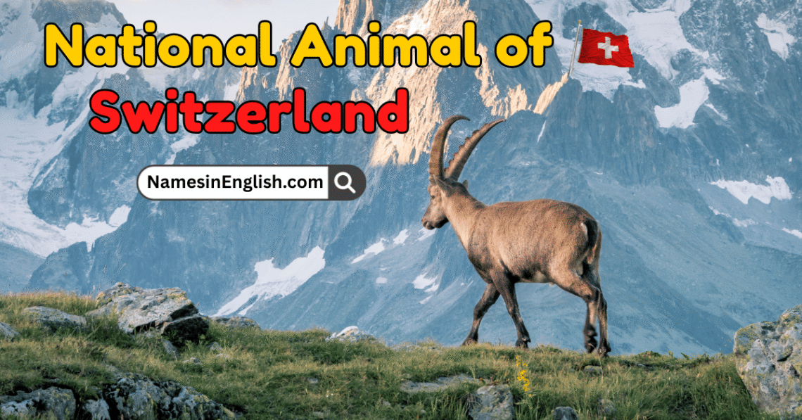 National Animal of Switzerland with Name and Picture - Names in English