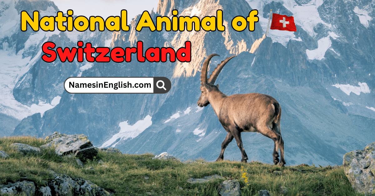 National Animal of Switzerland with Name and Picture - Names in English