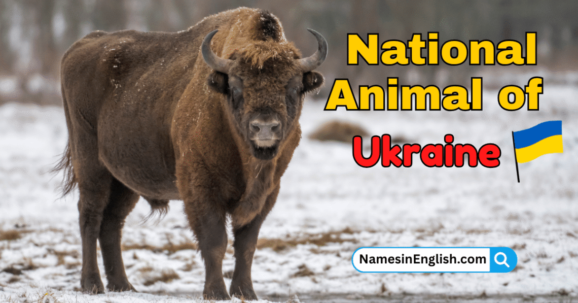 National Animal of Ukraine with Name and Picture - Names in English