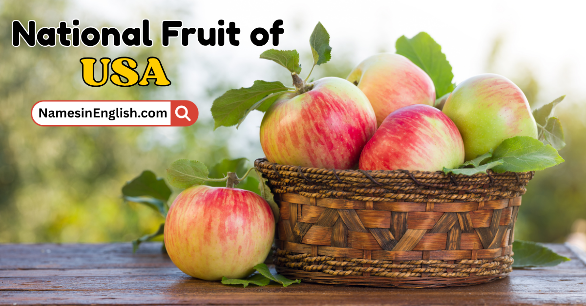 National fruit of USA with name and Their Picture - Names in English