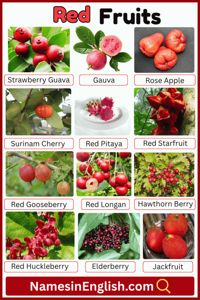 40 Red Fruits with Names in English with Pictures - Names in English