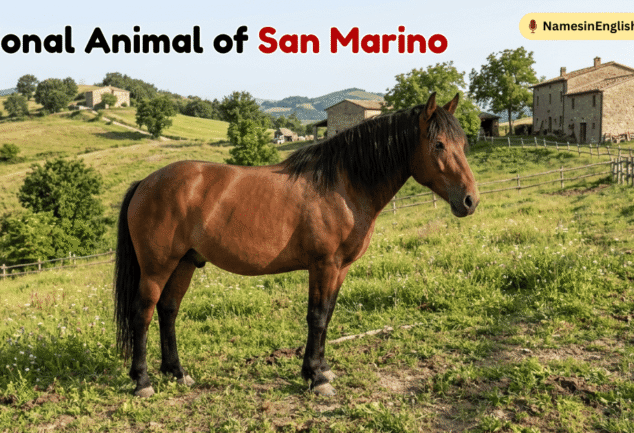 National Animal of France with Name and Picture - Names in English